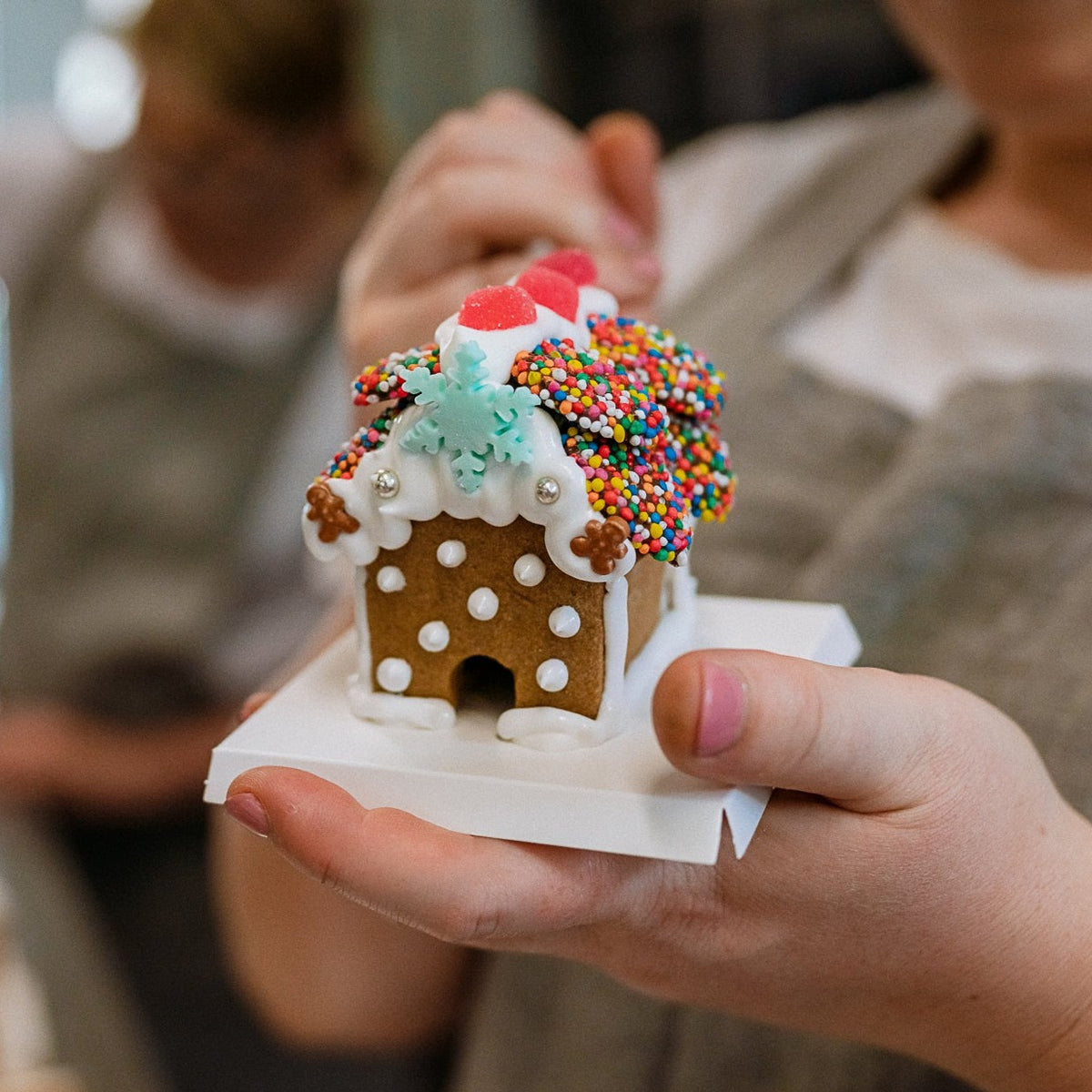 Mini Gingerbread House – The Gingerbread Company
